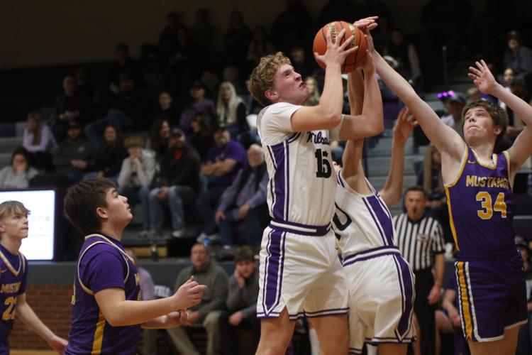 Cats Drop Two Tough Contests | Sports | themindencourier.com