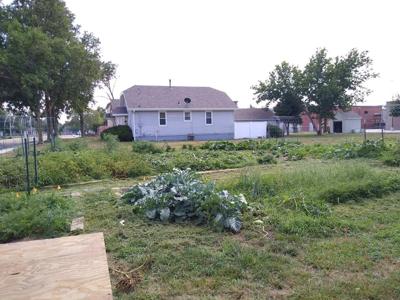 School Board Hears Greenhouse Proposal | Local News | themindencourier.com