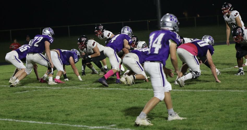 Whippets Defeat Haymakers 12-7 | Minden | themindencourier.com