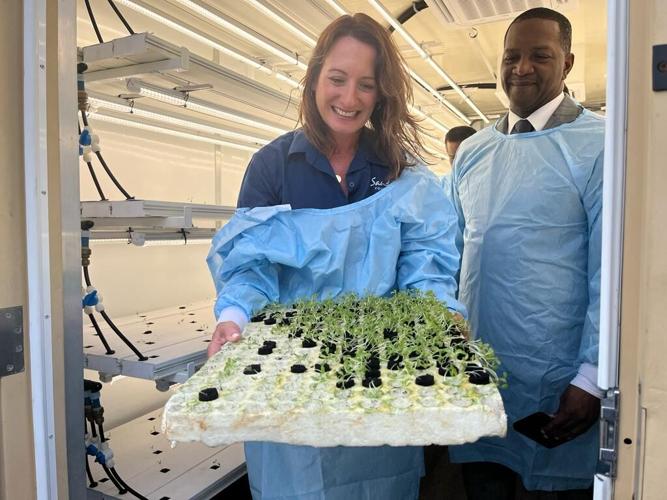 Superfood Grow Pod advances food security mission in Nassau ...