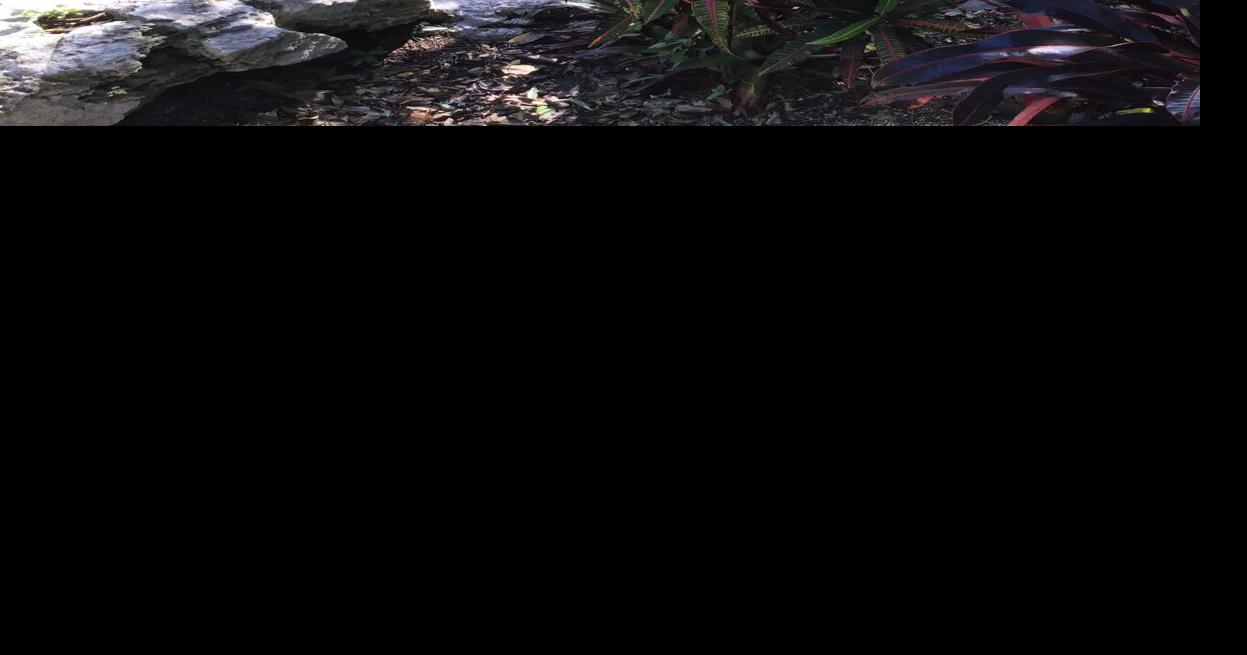 GB Eyesore of the Week: Downtown Park restoration stalled | Grand ...