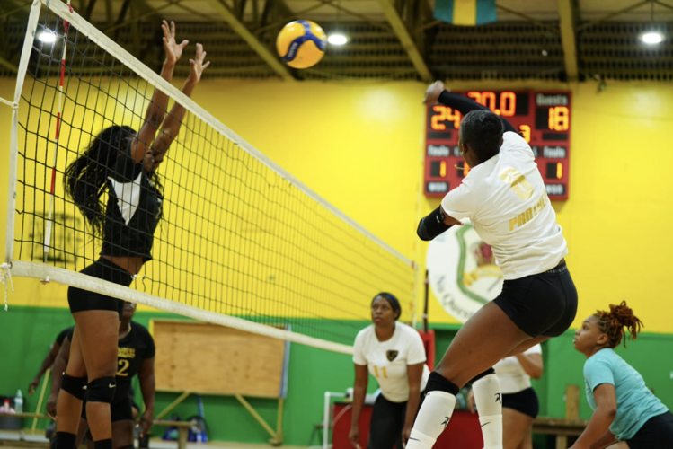 Lady Warhawks upset the Panthers | Sports | thenassauguardian.com