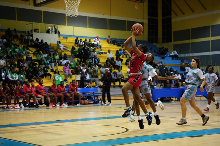 Giants, Cougars win BAISS basketball titles | Sports ...