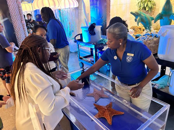 The Coral transformed into a blue zone | Lifestyles | thenassauguardian.com