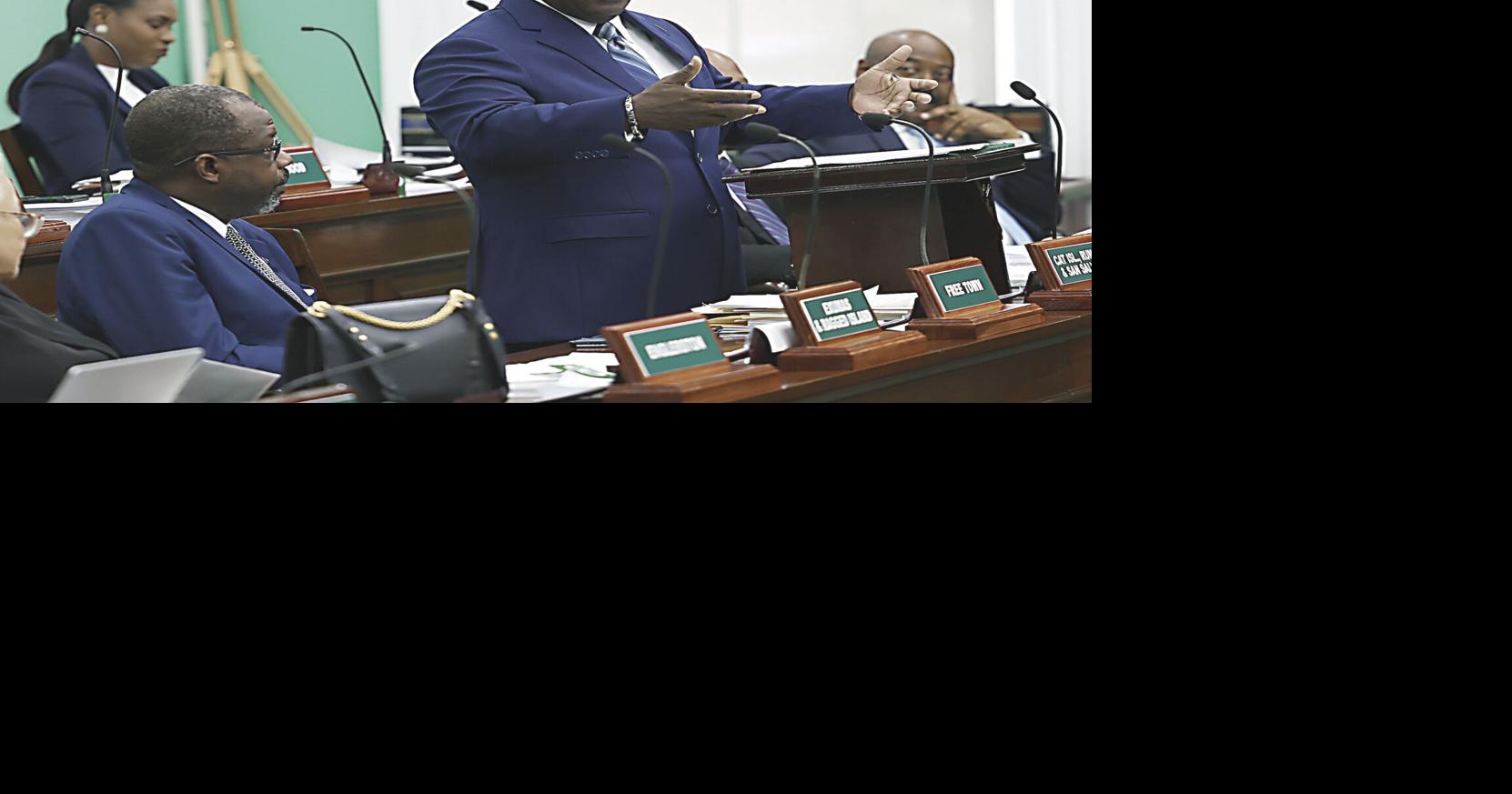 MPs pass Protection Against Violence Bill | Home | thenassauguardian.com