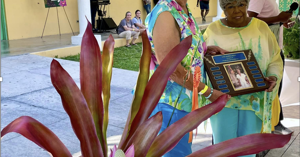 Horticultural excellence: Stephanie Harding's Aechmea Maria-Regina ...