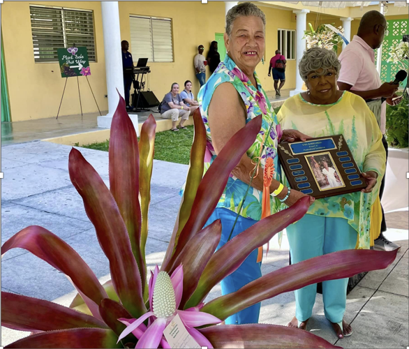 Horticultural excellence: Stephanie Harding's Aechmea Maria-Regina ...