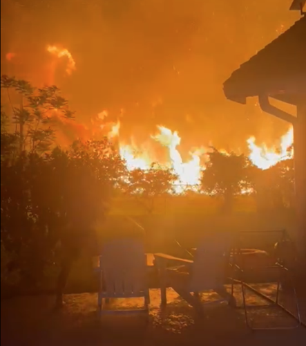 Eyesore: Bush fires ravage east GB with costly damage | Grand Bahama ...