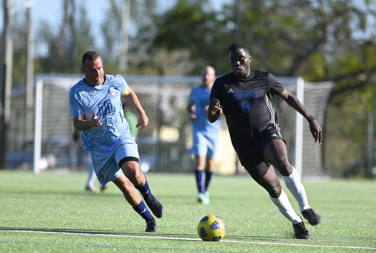 Mingoes get revenge victory on the Renegades | Sports ...