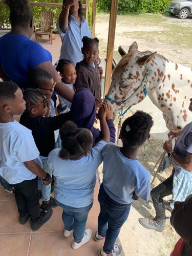 Pinetree Stables launches horse education initiative | Grand Bahama | thenassauguardian.com