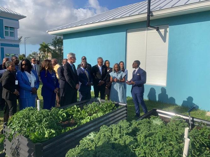 CG Atlantic Medical, Life & Zest Wellness launch community garden and ...