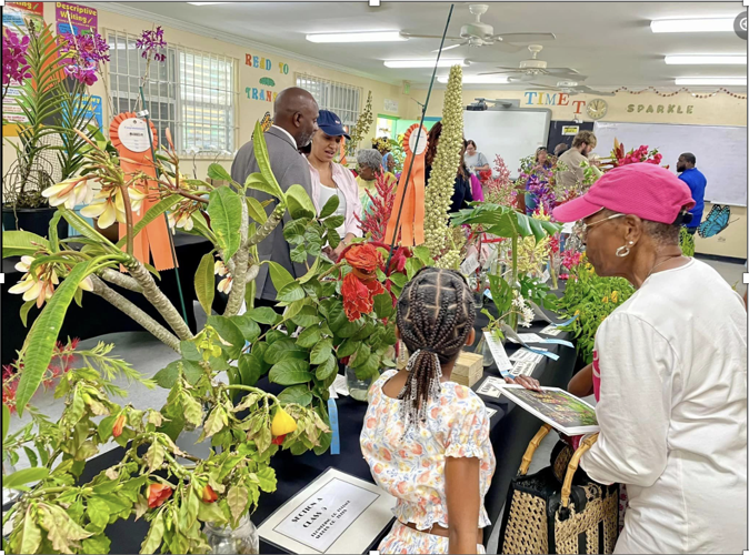 Horticultural excellence: Stephanie Harding's Aechmea Maria-Regina ...