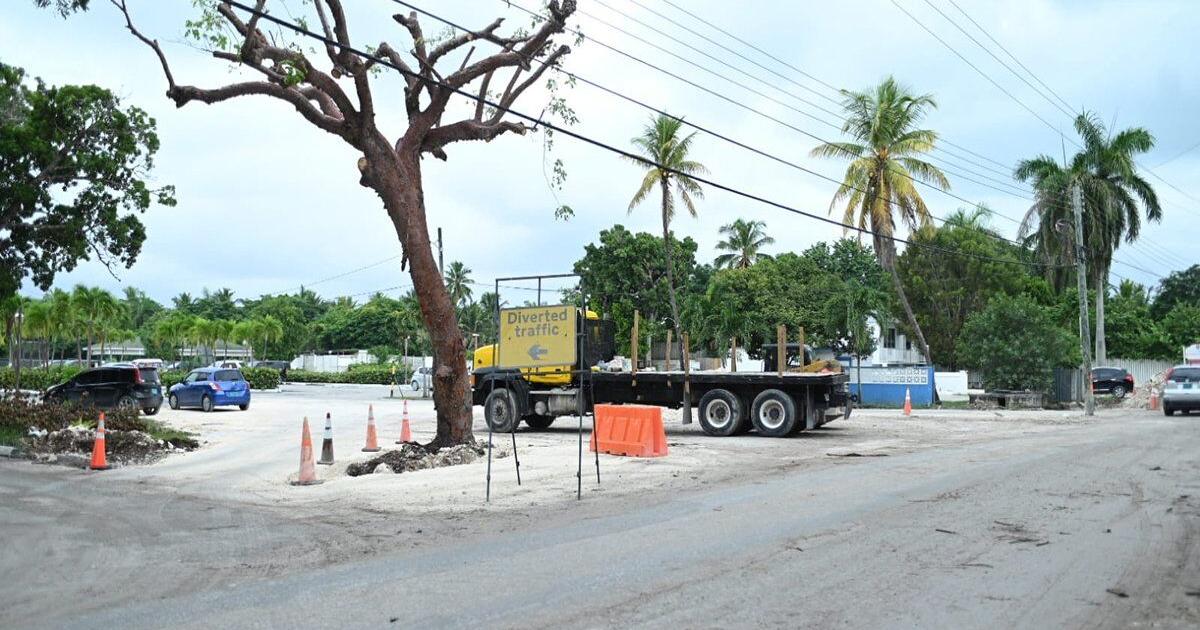 BNT trees removed for road project will be replanted | News ...