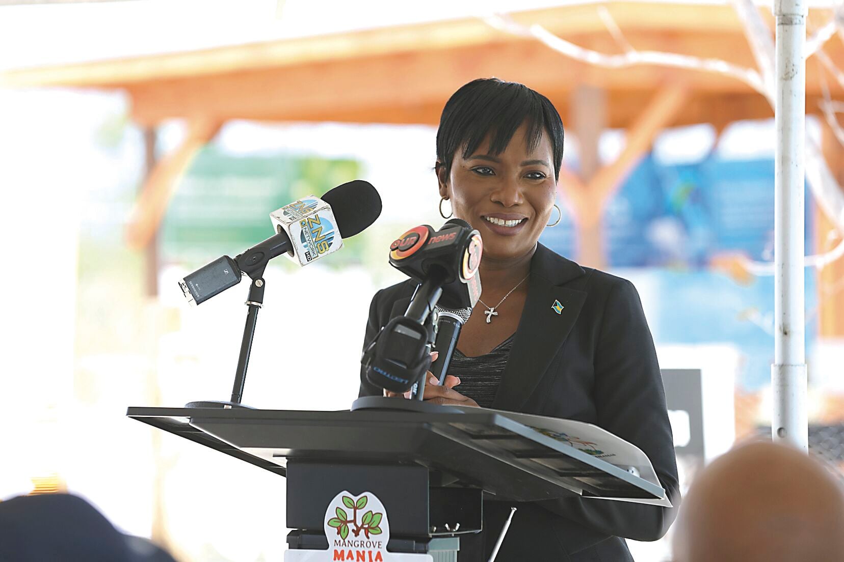 Moxey: Property acquisitions for Afro-Caribbean marketplace still being ...