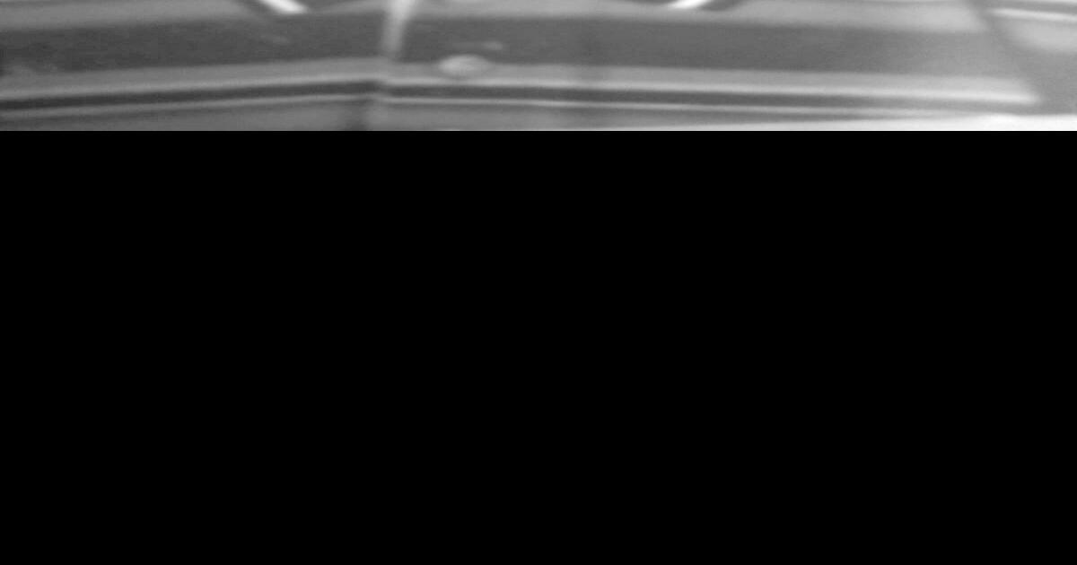 Adrian Rolle | Obituaries | thenassauguardian.com