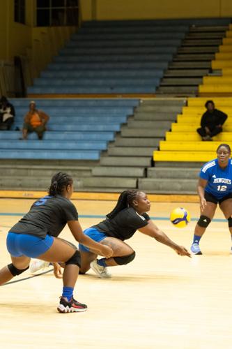 The Mingoes take down Aces three sets to one | Sports ...