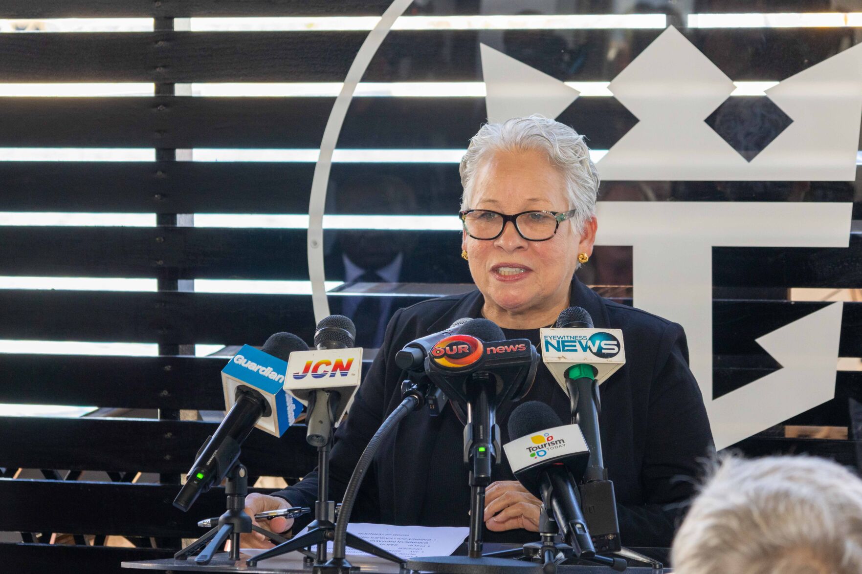 Hanna-Martin's RCI praise on PM's behalf contradicts personal ...