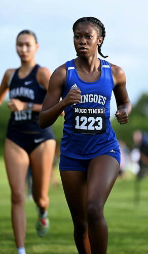 Mingoes cross country opens season | Sports | thenassauguardian.com