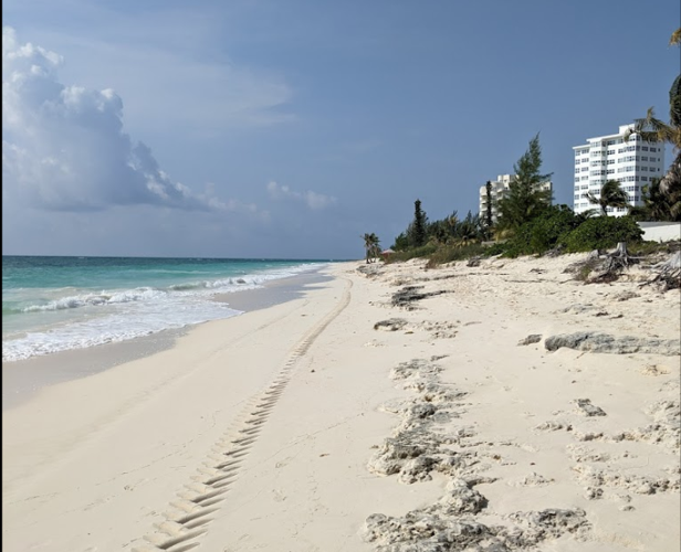 BASRA insists on safety for beachgoers | Grand Bahama ...