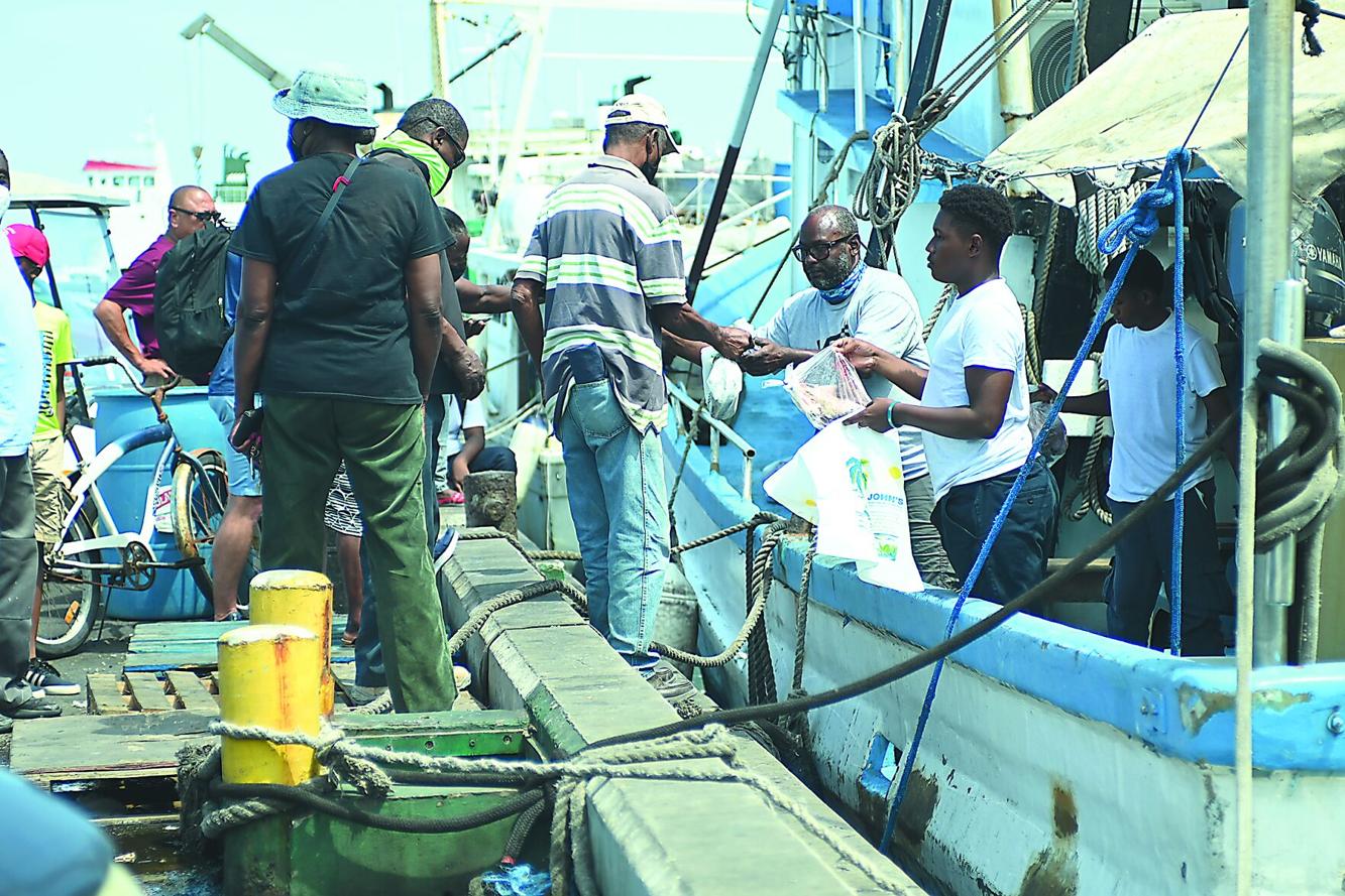 Fishermen warn that there is a lack of fish this Easter season ...
