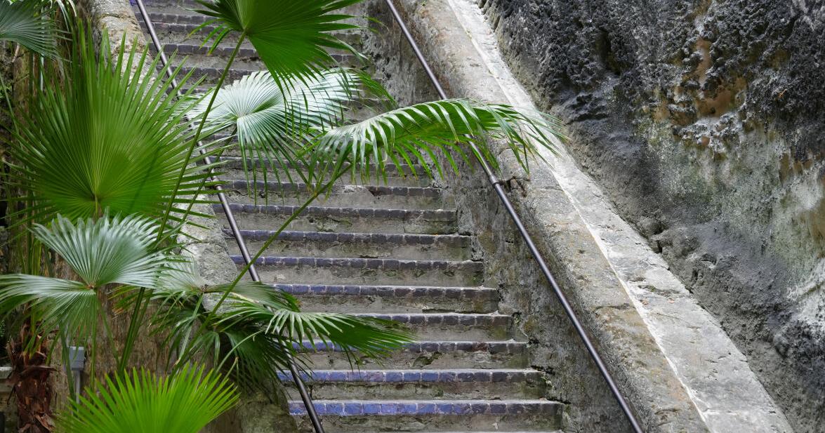 NPIPB to renovate another culturally important site | Business ...