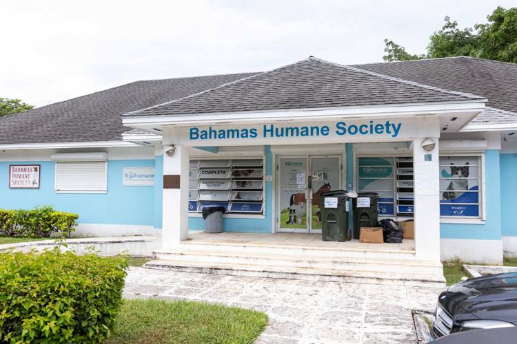 Thieves break into humane society | News | thenassauguardian.com