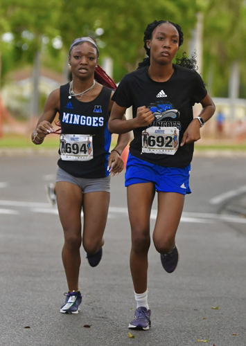 Athletes turn out at UB’s cross country invitational | Sports ...