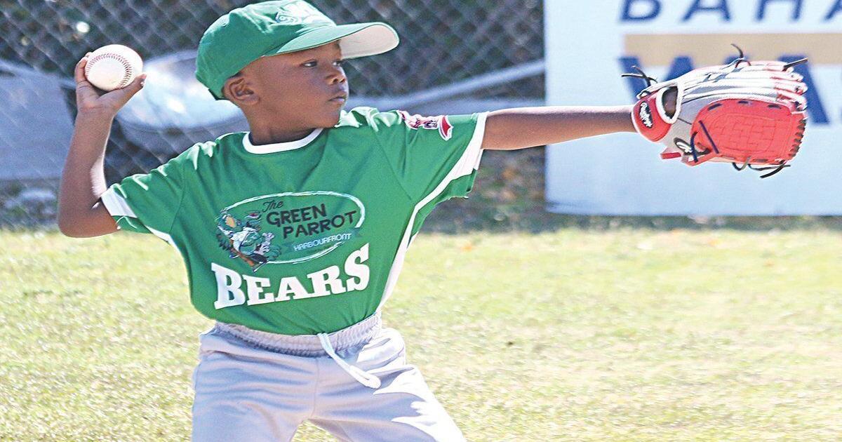 JBLN set for 31st season of organized baseball | Sports ...