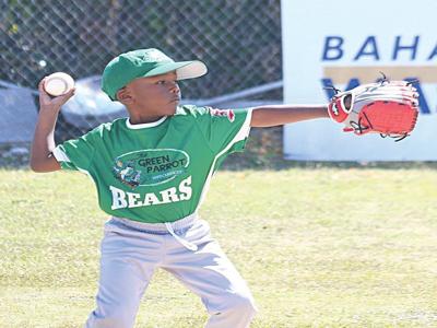 JBLN set for 31st season of organized baseball | Sports ...