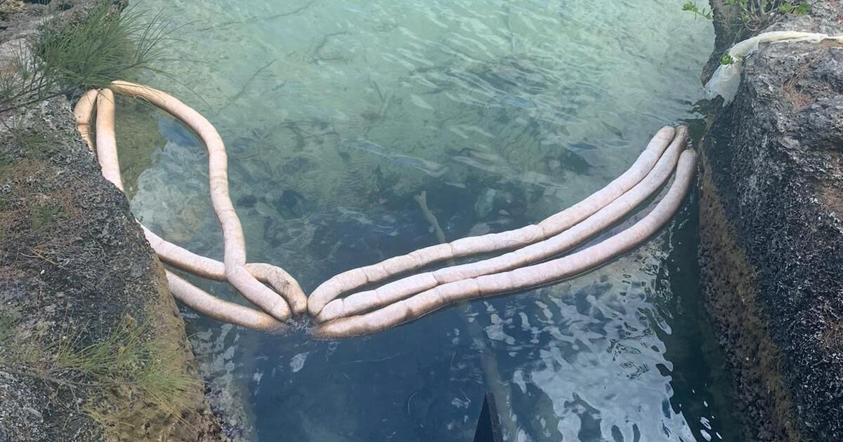 MP raises concerns on Abaco fuel leak | News | thenassauguardian.com