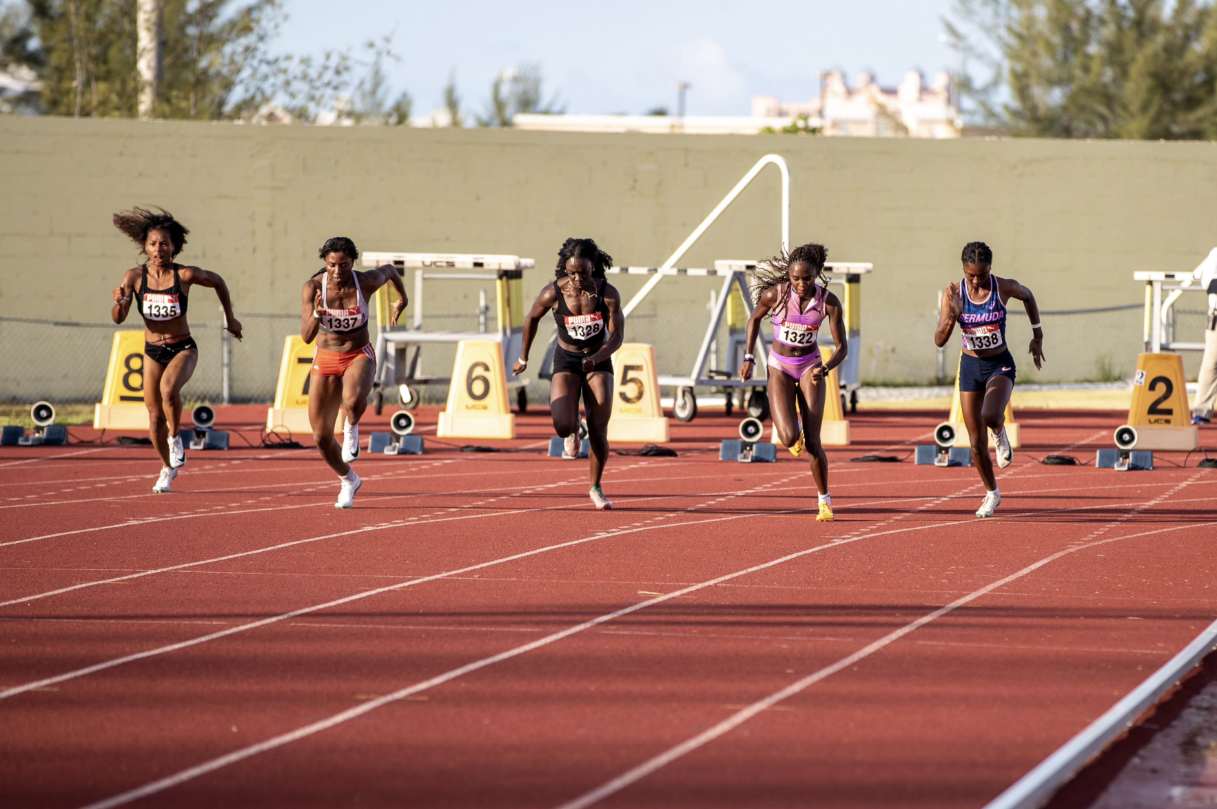 National champions crowned | Sports | thenassauguardian.com