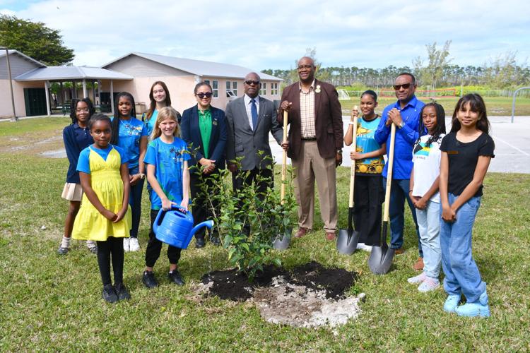 Forestry Unit celebrates 'Green Fridays' at Lucayan International ...