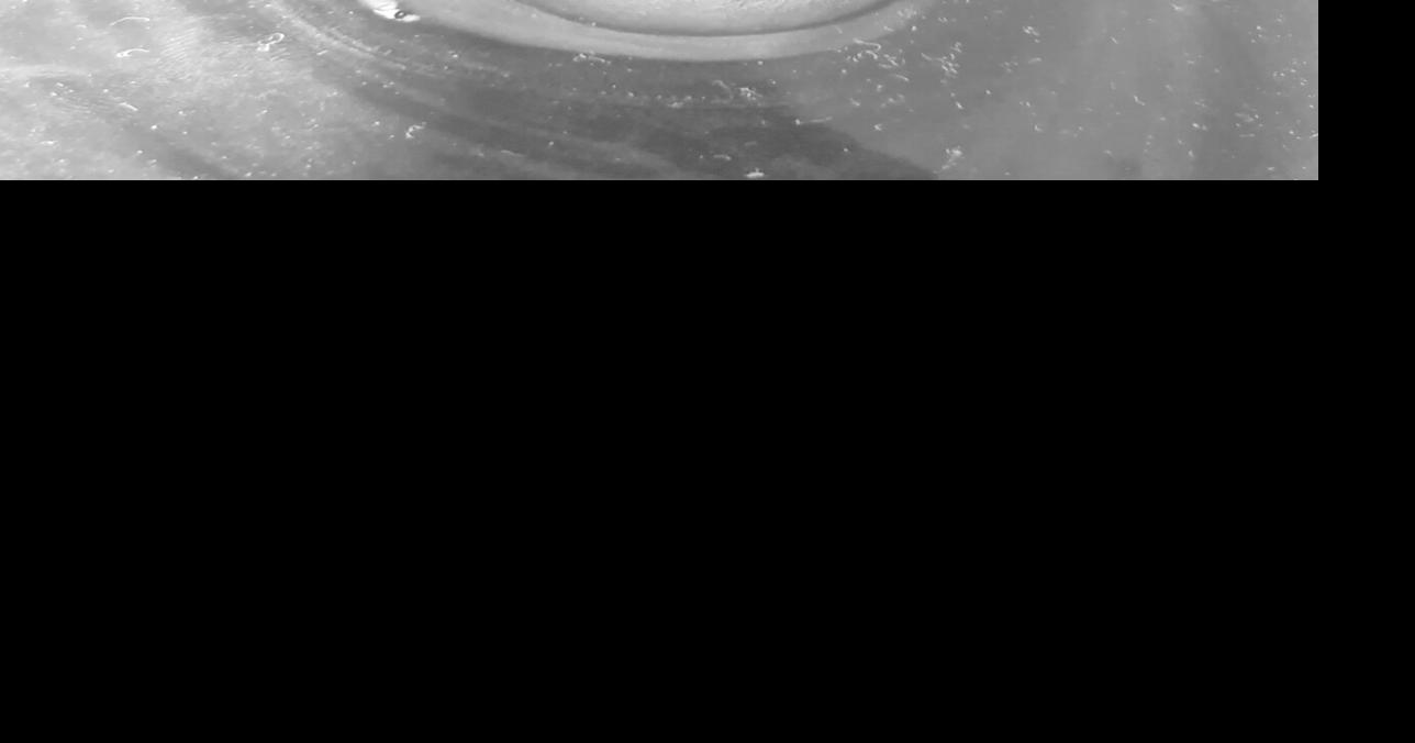 Darrell Delwert Ferguson, 50 yrs | Obituaries | thenassauguardian.com