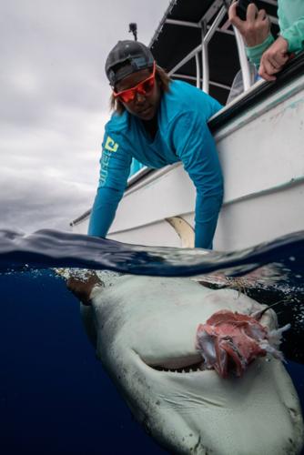 Candace Fields earns shark-focused PhD | Lifestyles | thenassauguardian.com