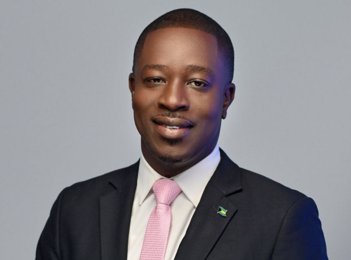 ZNS GB reporter quits to pursue FNM nomination | News ...