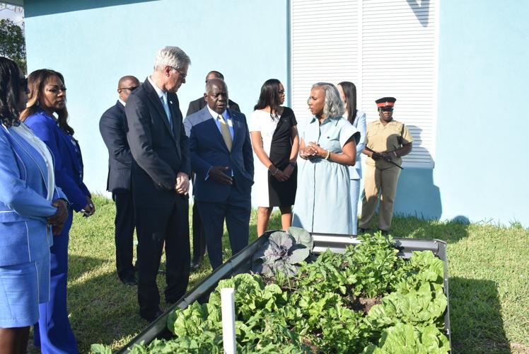 CG Freeport building a futuristic vision | Grand Bahama ...