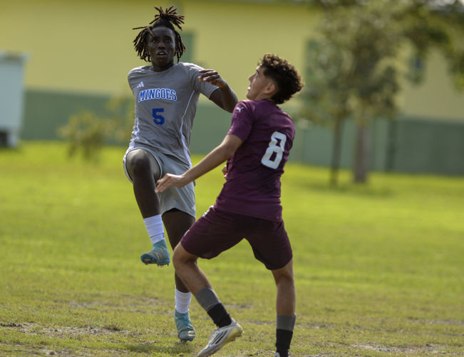 The Mingoes play to a scoreless draw against UIC | Sports ...