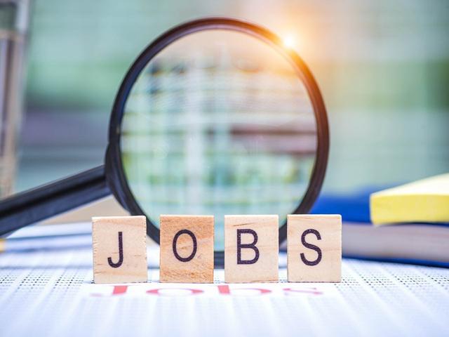 Unemployment rate unchanged at 8.7% | News | thenassauguardian.com