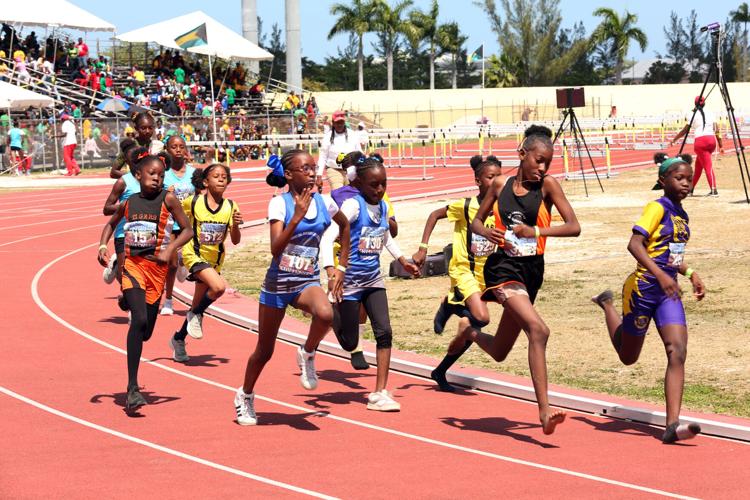 Sharks take charge on the track | Sports | thenassauguardian.com