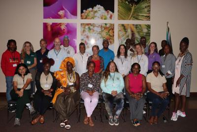 Mangrove restoration the focus of first NICaR forum | Grand Bahama ...