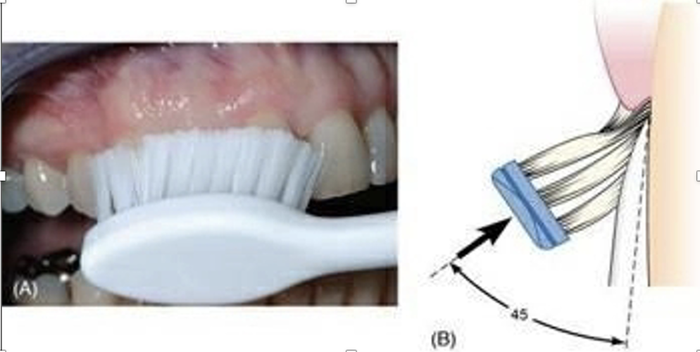 Bright smiles, healthy lives: The power of brushing and flossing ...