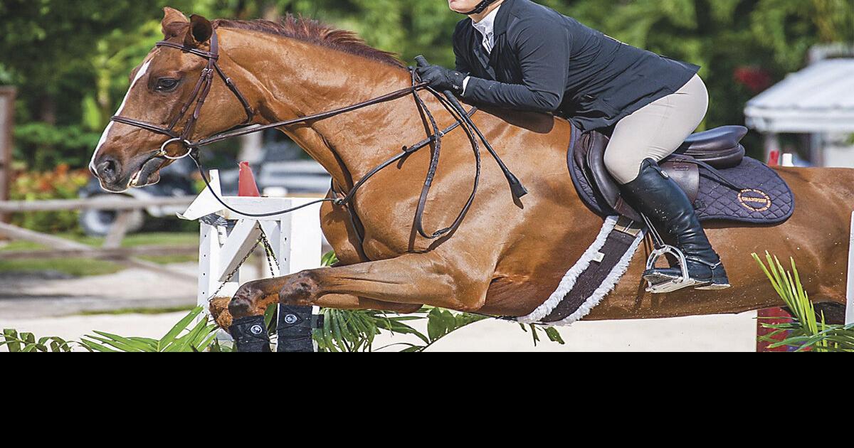 Coello turns in near-perfect ride at CEC Horse Show | Sports ...
