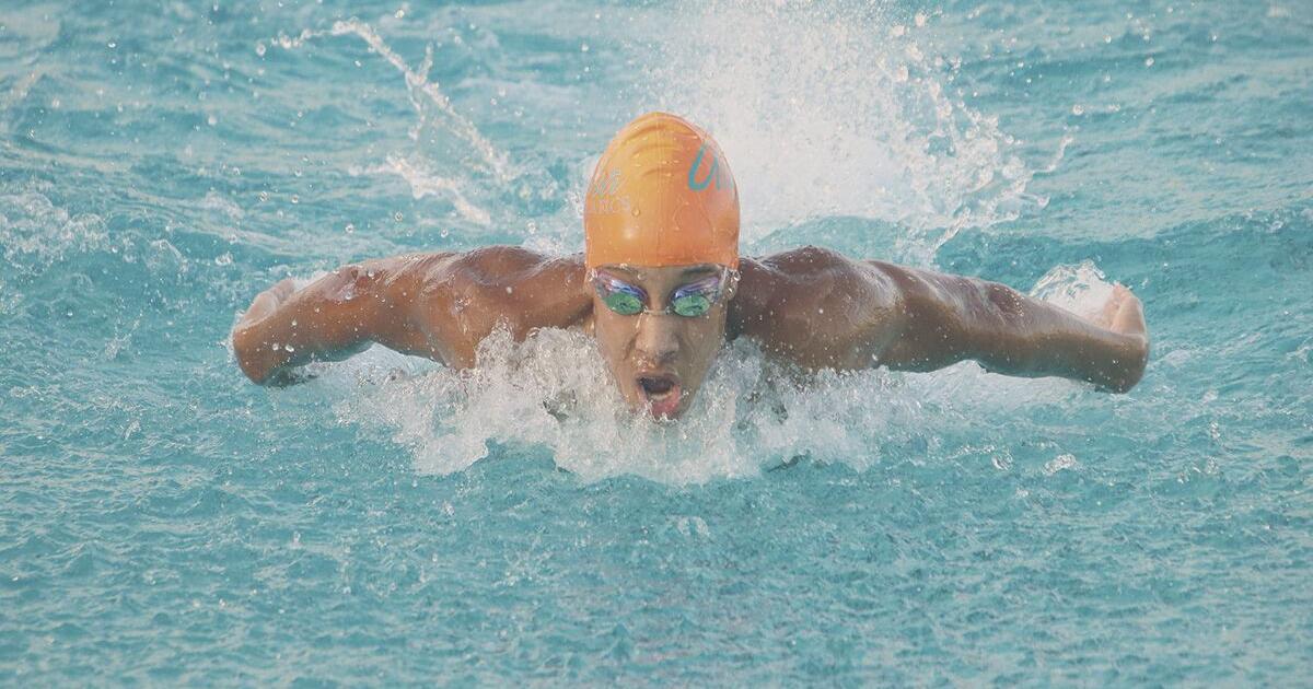 Collegiate swimmers get in the pool | Sports | thenassauguardian.com