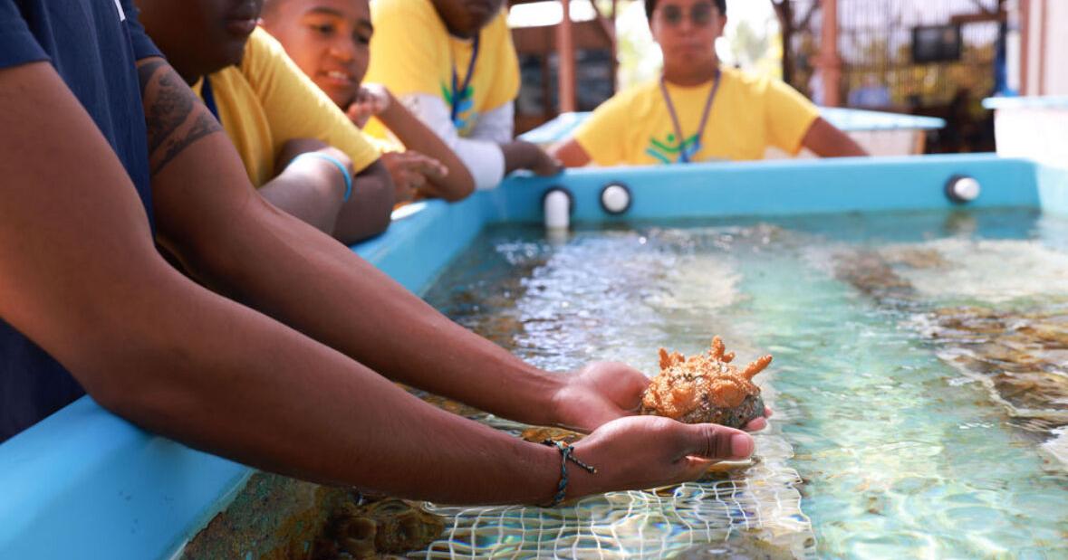 Blue Action Lab wants to grow blue economy workforce | Business ...