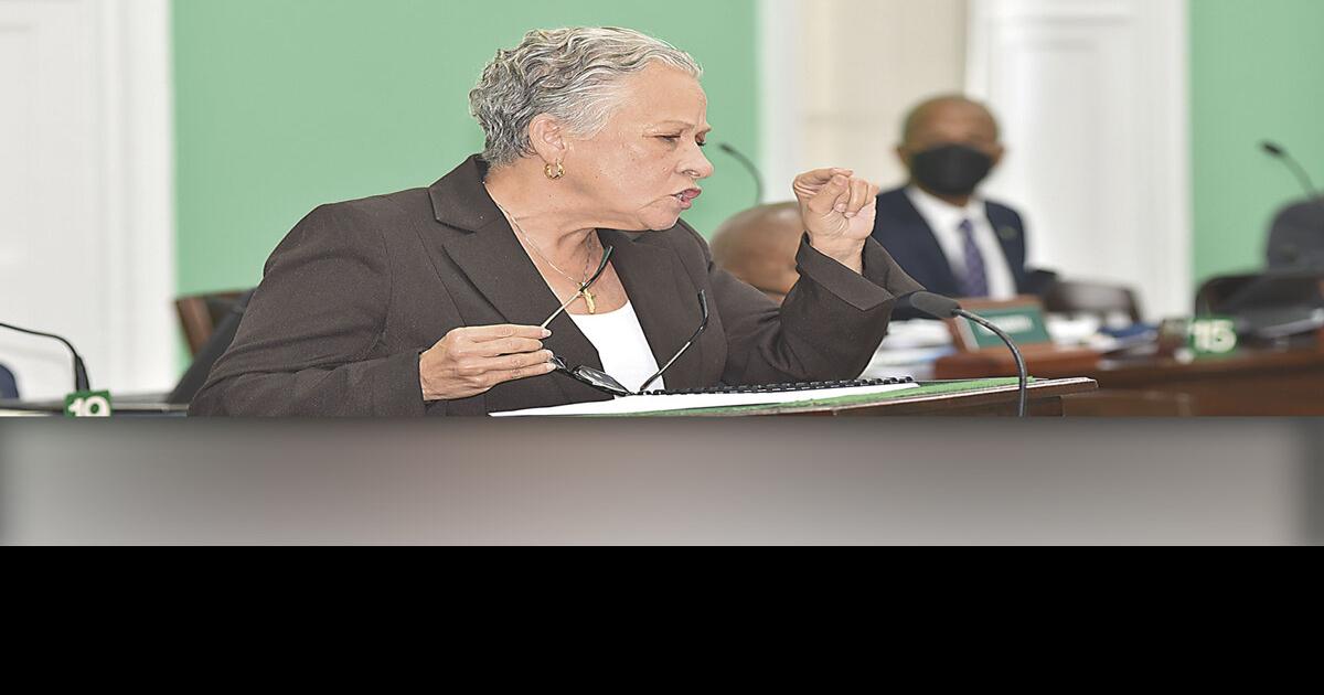 PLP and FNM MPs trade blame on BPL | Home | thenassauguardian.com