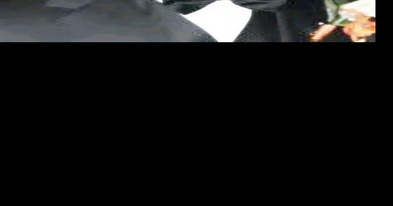 John Ellerton Carter | Obituaries | thenassauguardian.com