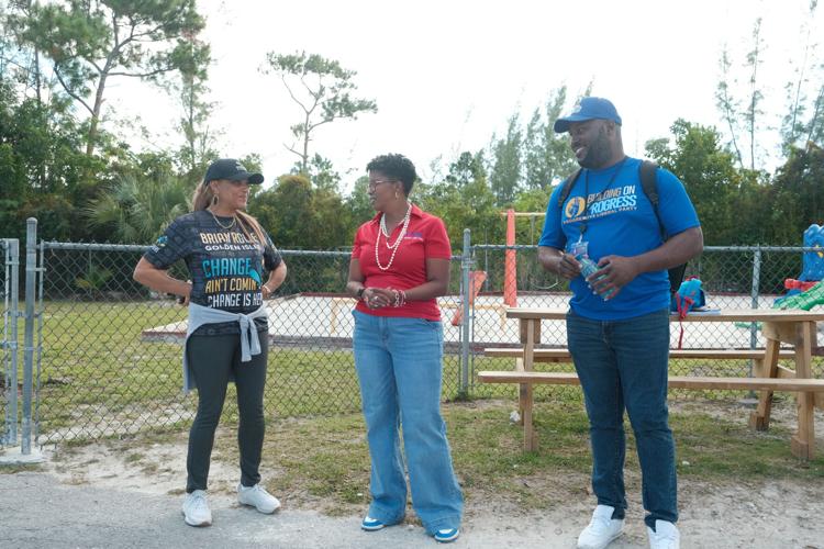 Golden Isles voters want progress on key issues | News | thenassauguardian.com