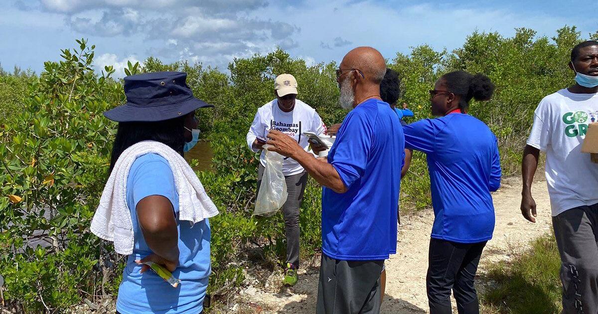 Mangrove project gets green light | Grand Bahama | thenassauguardian.com