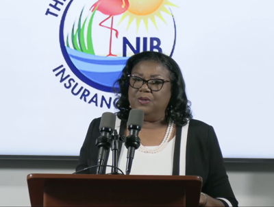 NIB to rebalance overweight investment portfolio | Business ...