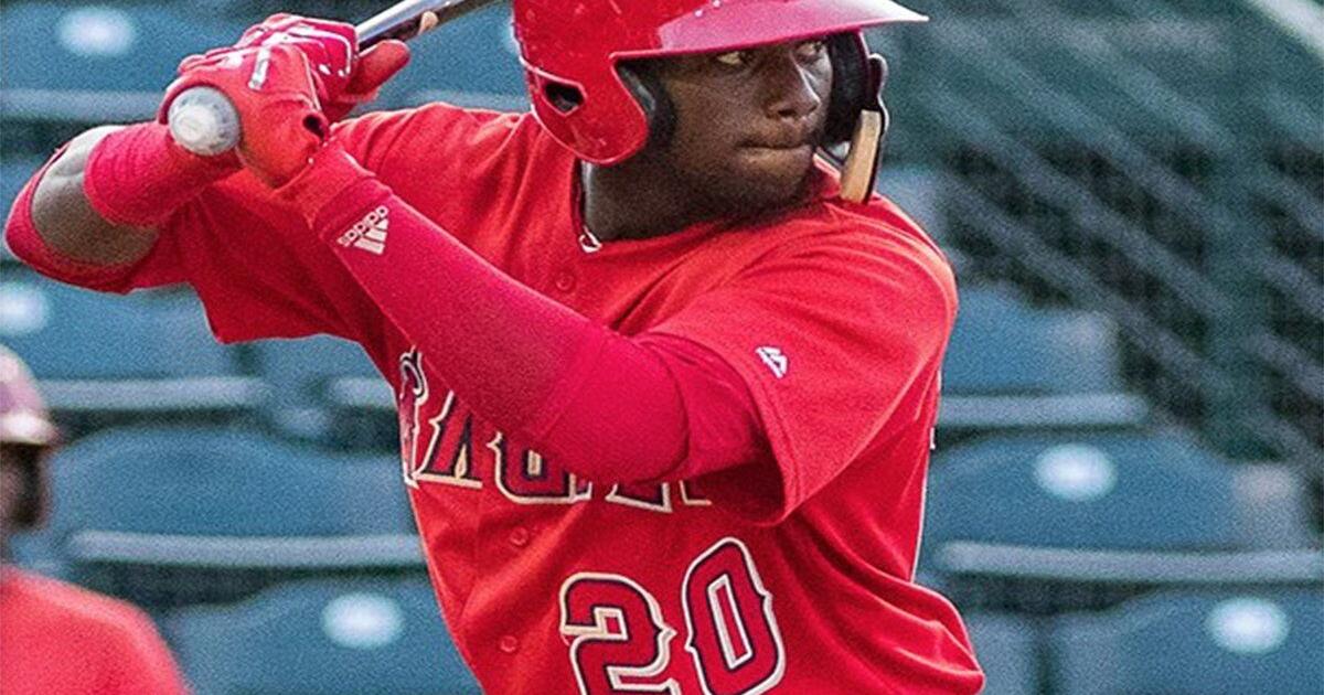 Knowles wins player of the week award | Sports | thenassauguardian.com